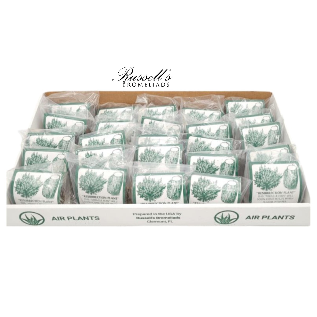 Plant Assortments – Russell's Bromeliads